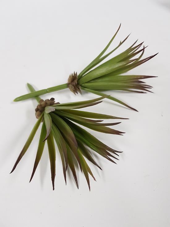 Succulent Mini Spiky - Desflora