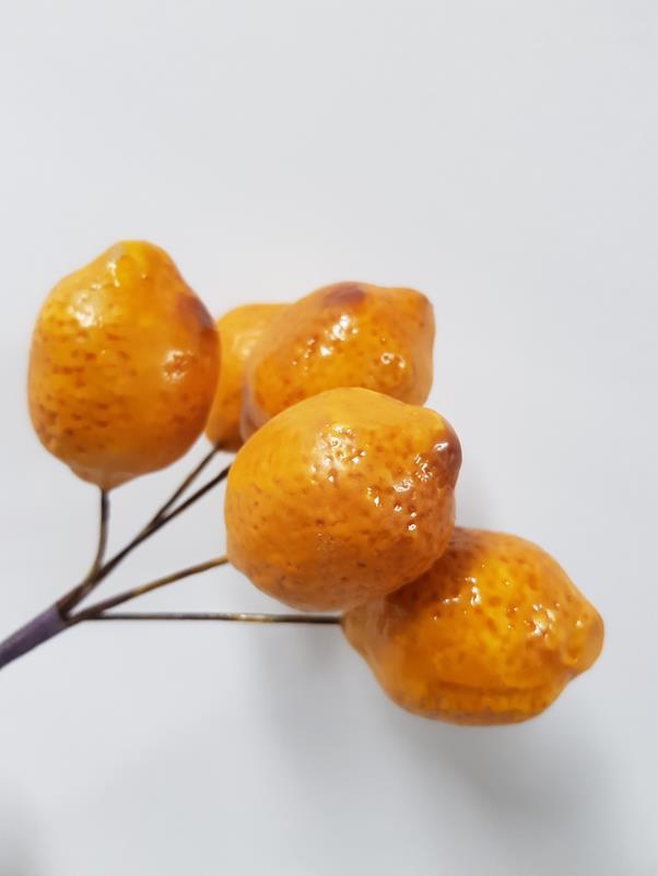 Artificial Lemon Bundle - Desflora