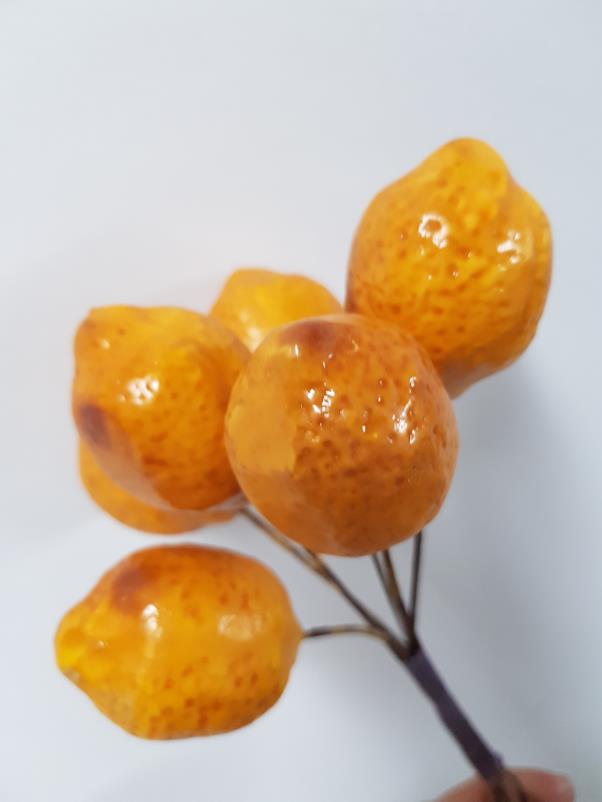 Artificial Lemon Bundle - Desflora