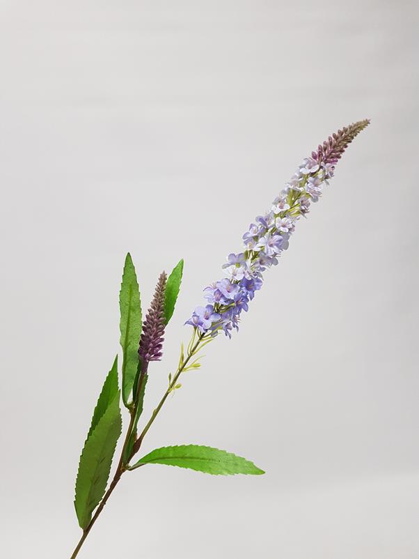 Veronica Spray Mauve - Desflora