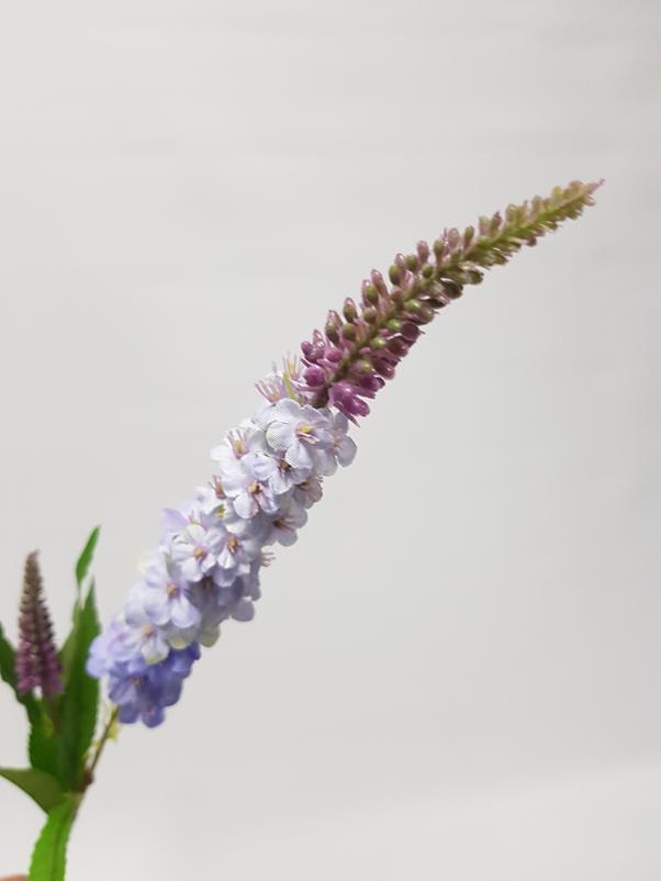 Veronica Spray Mauve - Desflora