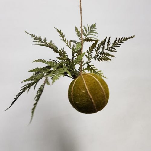 Hanging Moss Ball with Leather Fern - Desflora