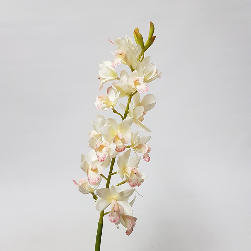 Artificial Cymbidium Orchid Cream Pink 76cm - Desflora