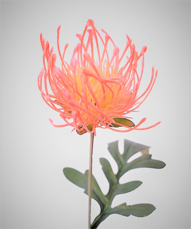 Artificial Pincushion Coral 31cm Desflora