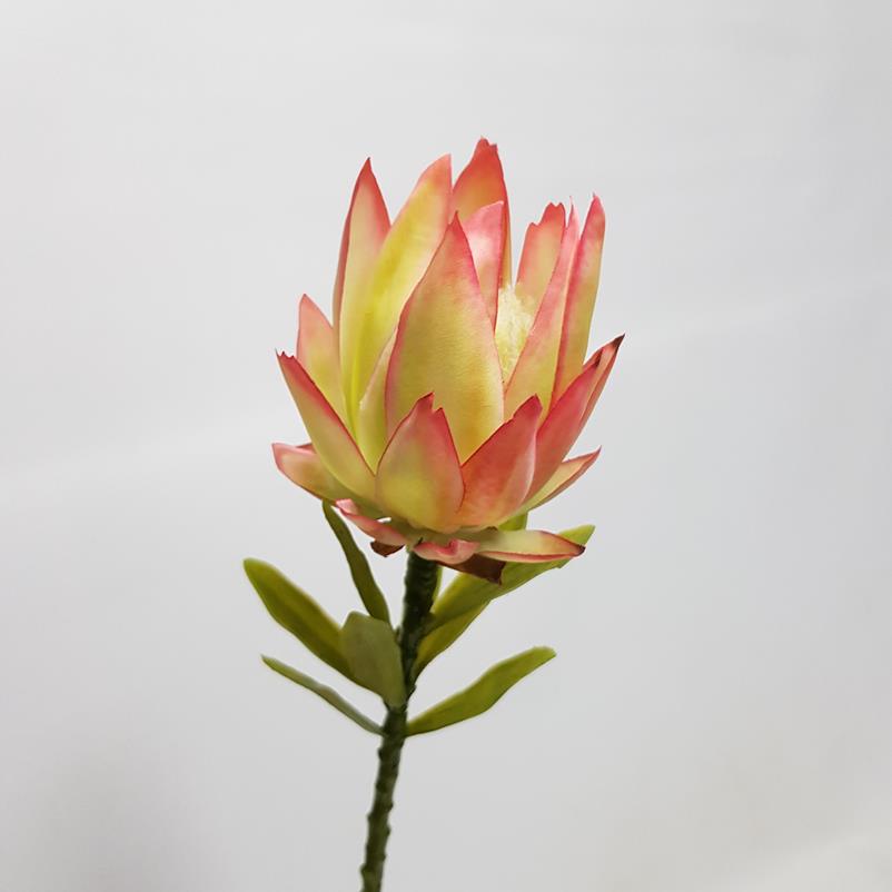 Artificial Protea Magnifica Candy 40cm - Desflora