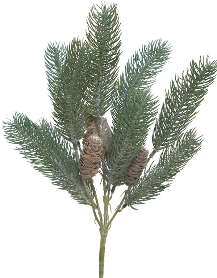Dusty Pine Cone Bush 39cm - Desflora