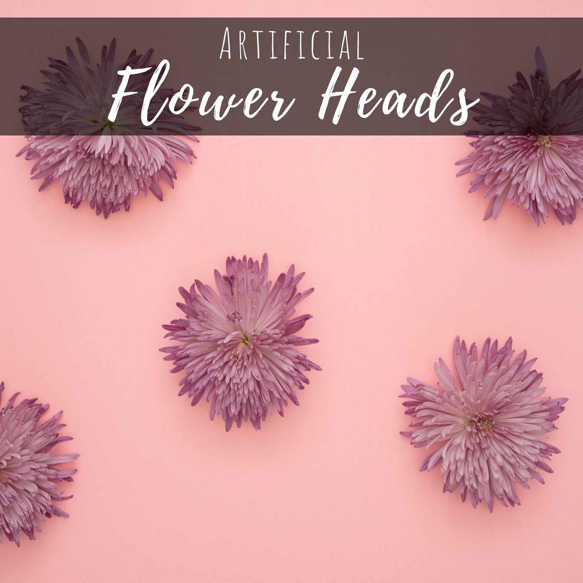 Flower heads-Online-Shipping Australia Wide-Desflora
