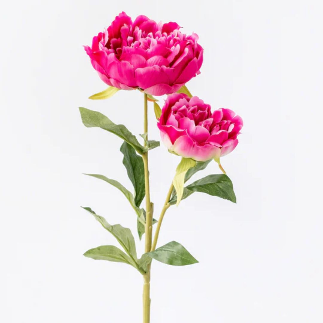 Artificial Peony Spray Beauty 65cm - Desflora