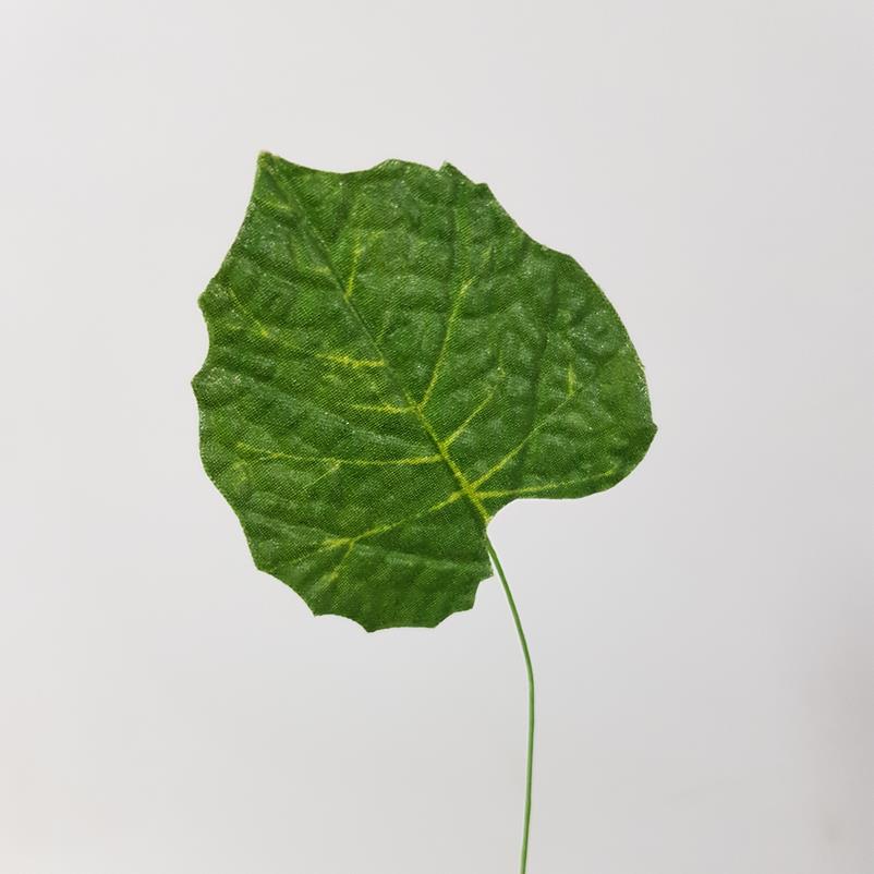 Mini Leaf Mint Pack x 24 - Desflora