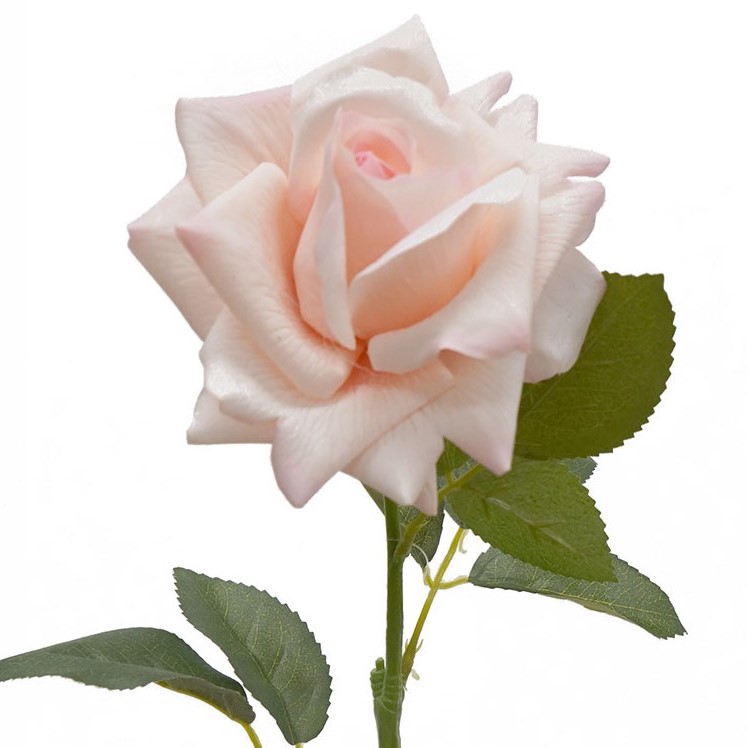 Real Touch Bloomed Rose Nude Pink 73cm - Desflora
