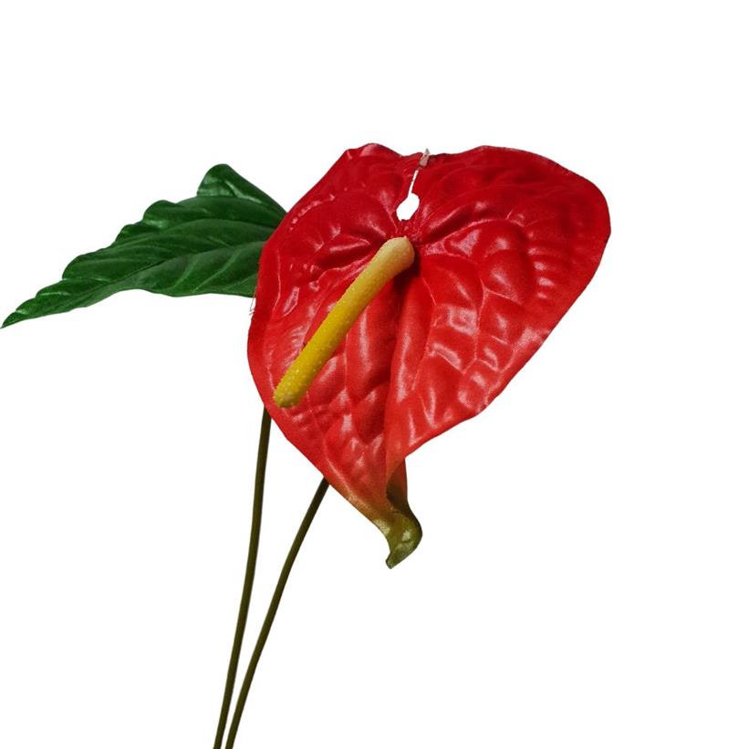 Red Anthurium Stem and leaf 66cm - Desflora