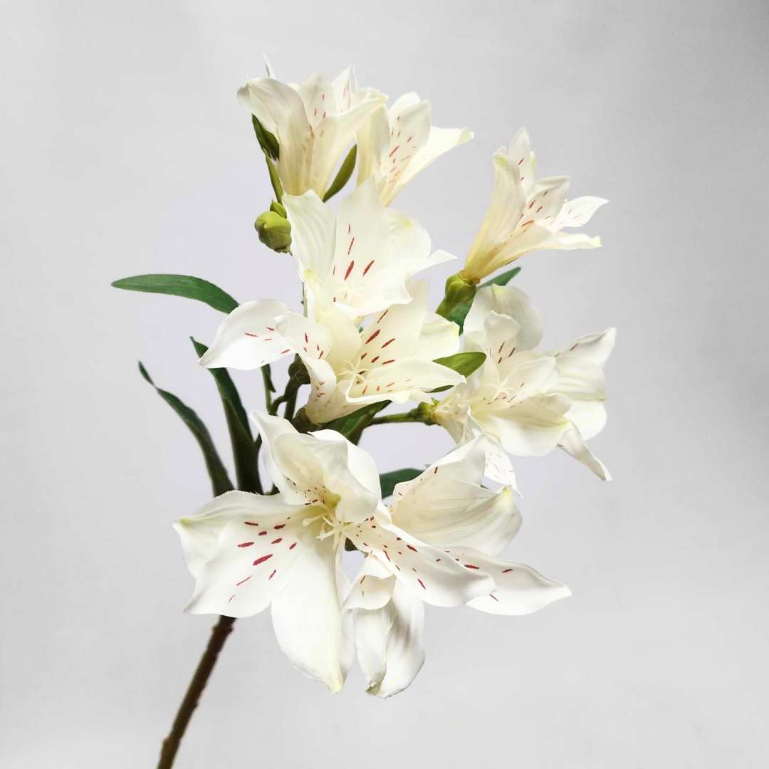 Artificial Peruvian lily White 76cm - Desflora