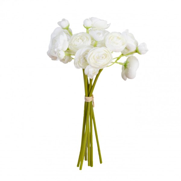 Ranunculus Bunch White 28cm - Desflora