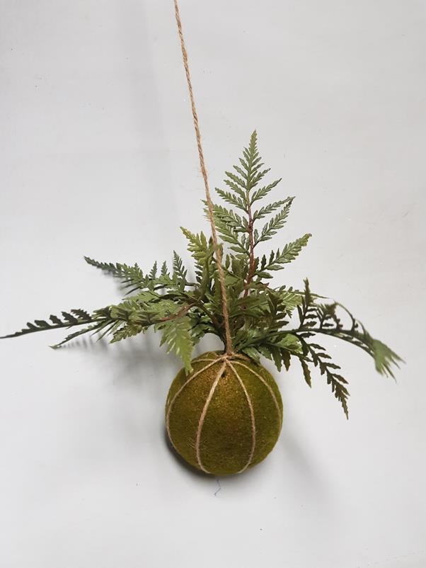 Hanging Moss Ball with Leather Fern - Desflora