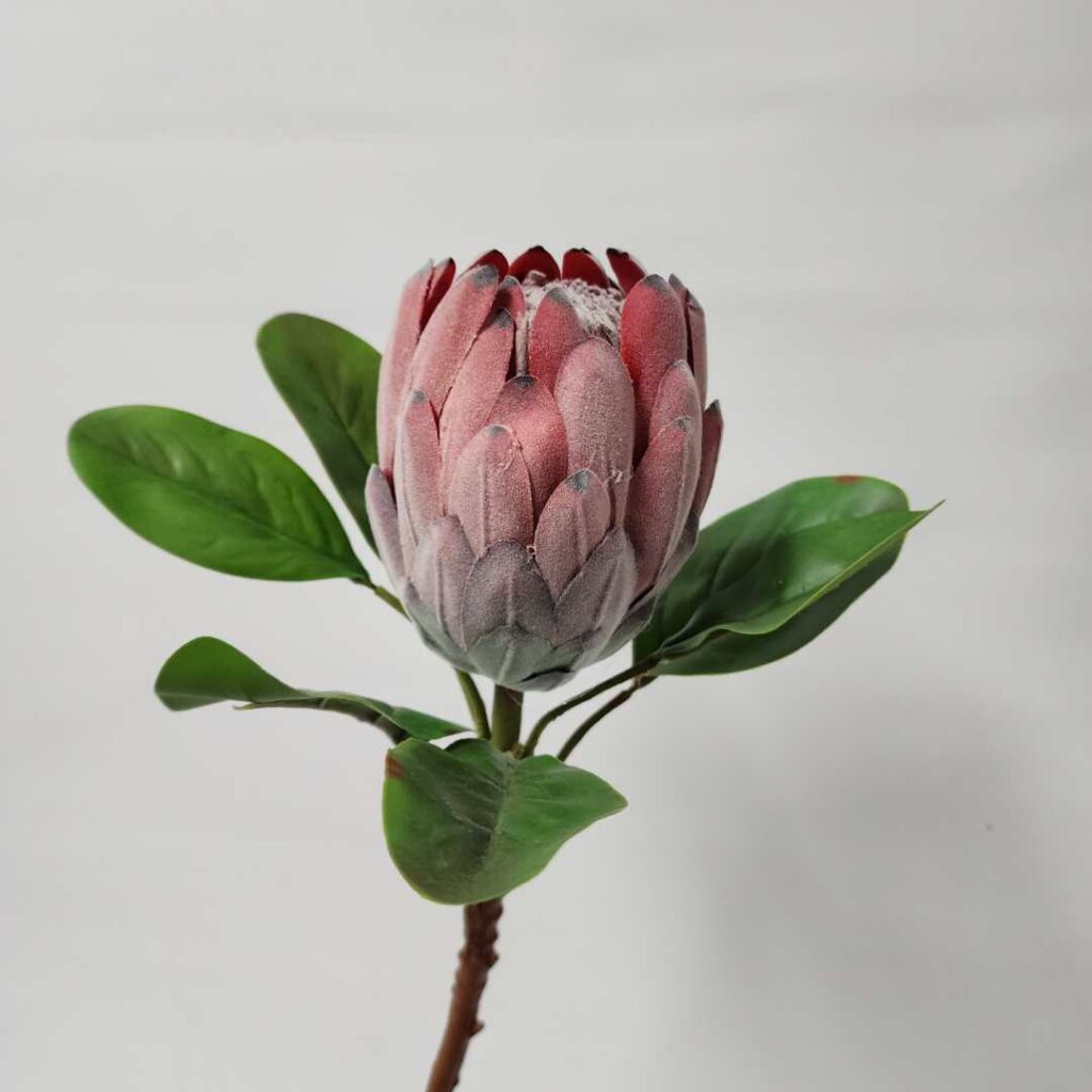 Artificial Native Flowers-Online-Shipping Australia Wide-Desflora