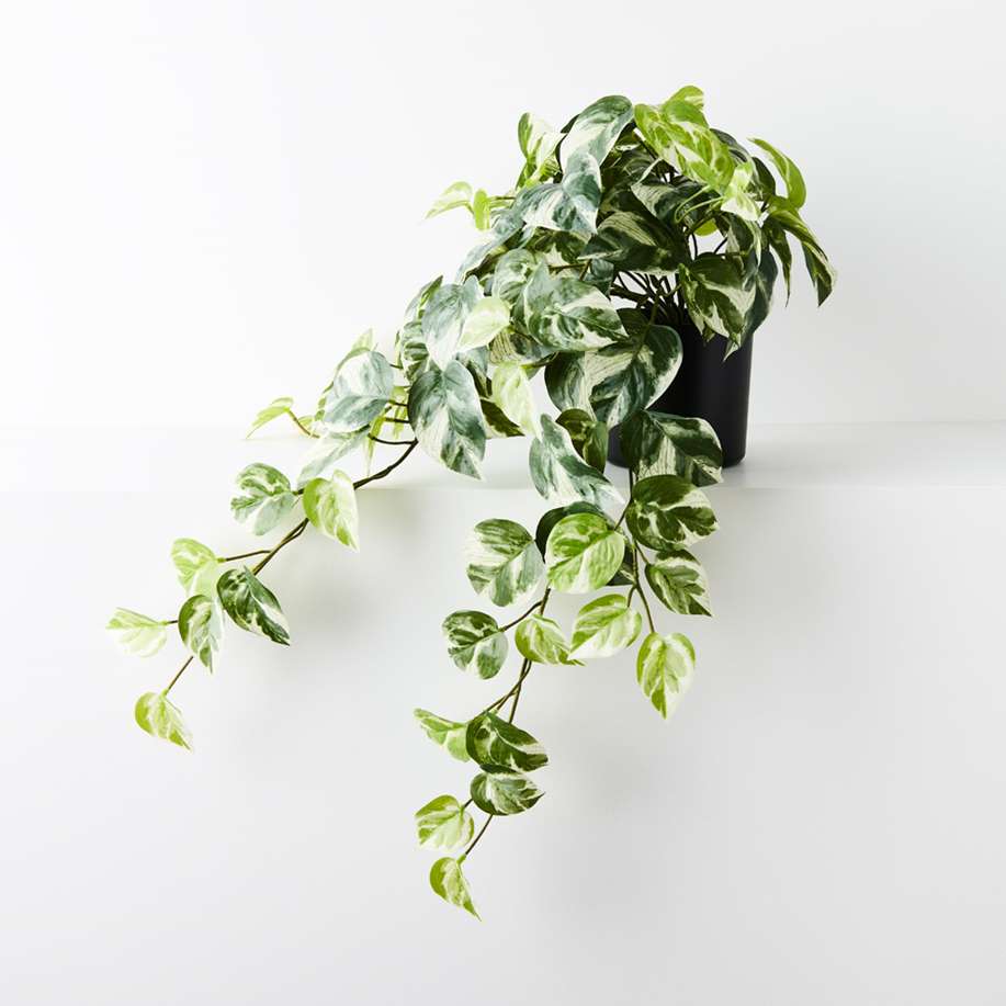Artificial Pothos Plant Hanging 66cm - Desflora