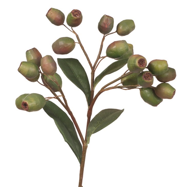 Artificial Gum Nut Stem Green 51cm - Desflora