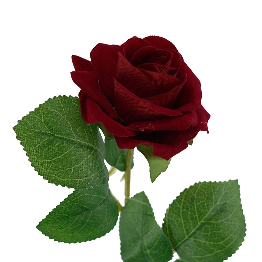 Baby Rose Harriet Red 50cm - Desflora