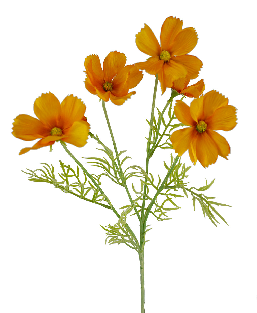 Cosmos Wild Flower Orange 61cm - Desflora