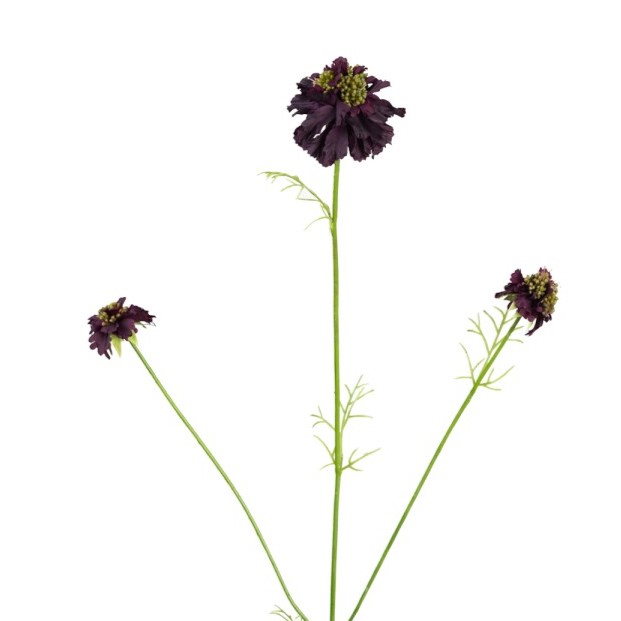Artificial Scabiosa Flower Plum Black 77cm - Desflora