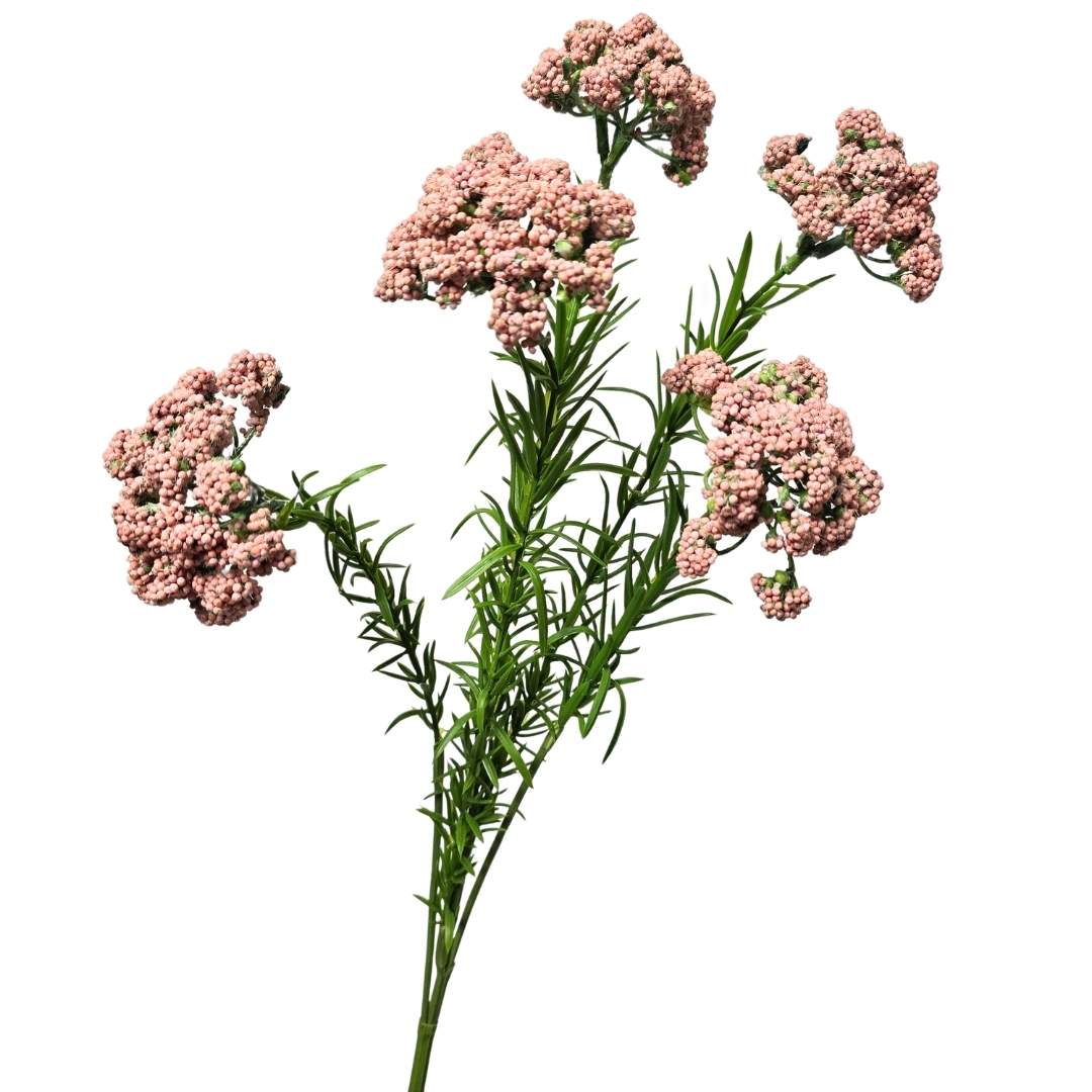 Viburnum Berry x 5 Pink 73cm - Desflora