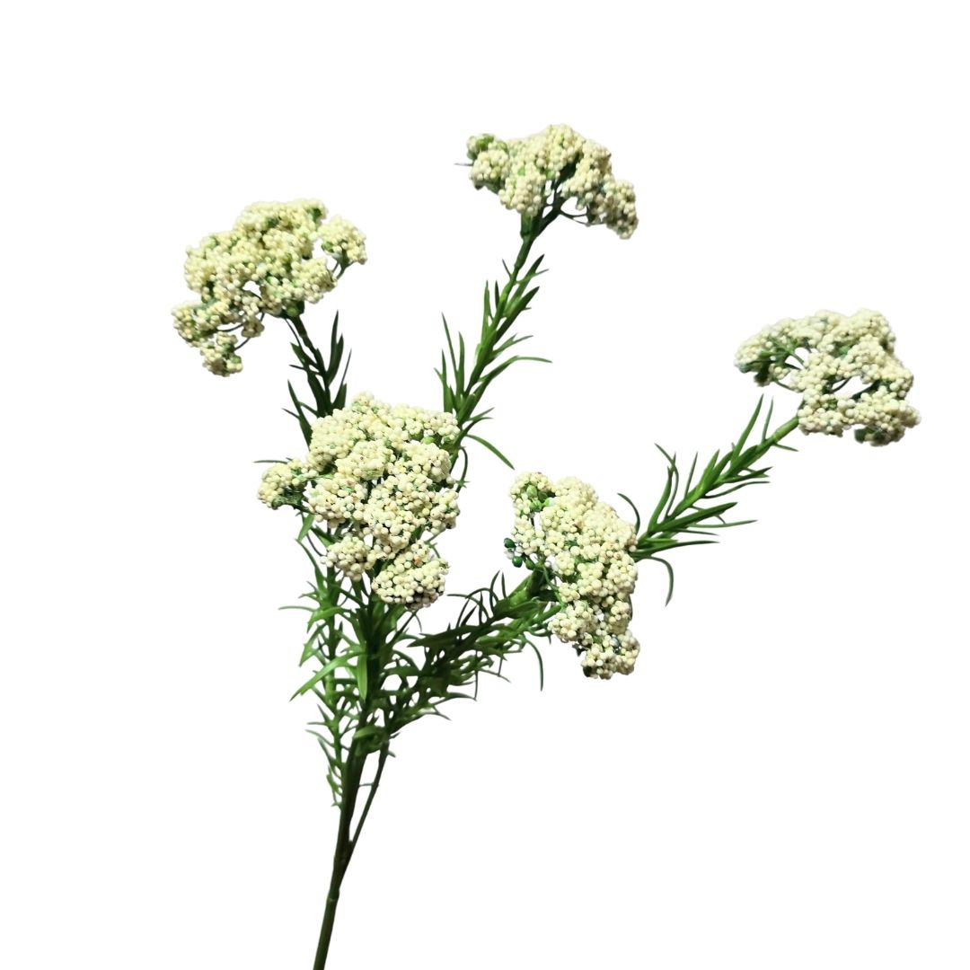 Viburnum Berry x 5 White 73cm - Desflora