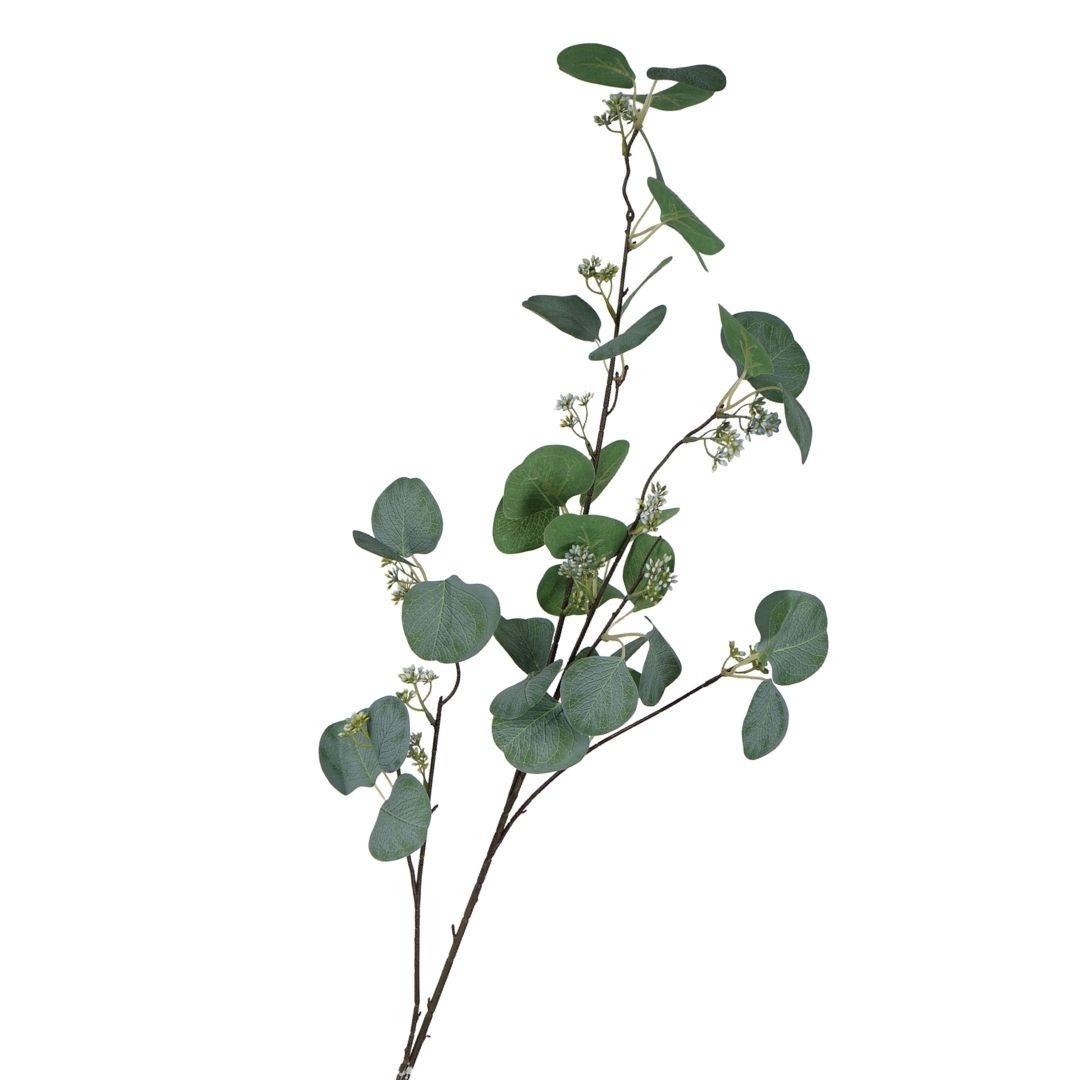 Eucalyptus Dollar Gum Ethan 110cm - Desflora