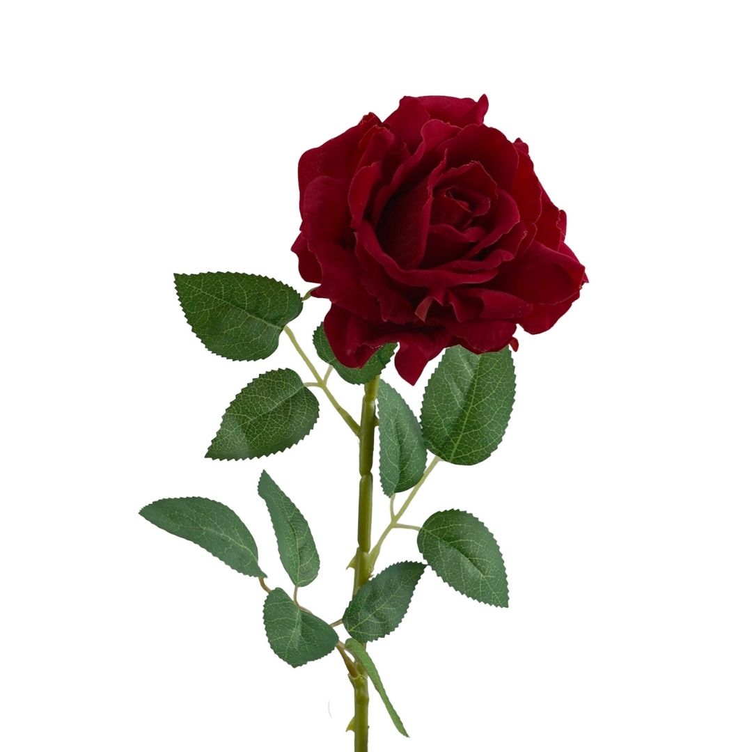Bloomed Rose Magna Red 77cm - Desflora