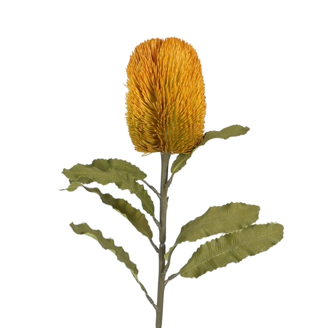 Banksia Stem Burnt Tangerine 65cm - Desflora