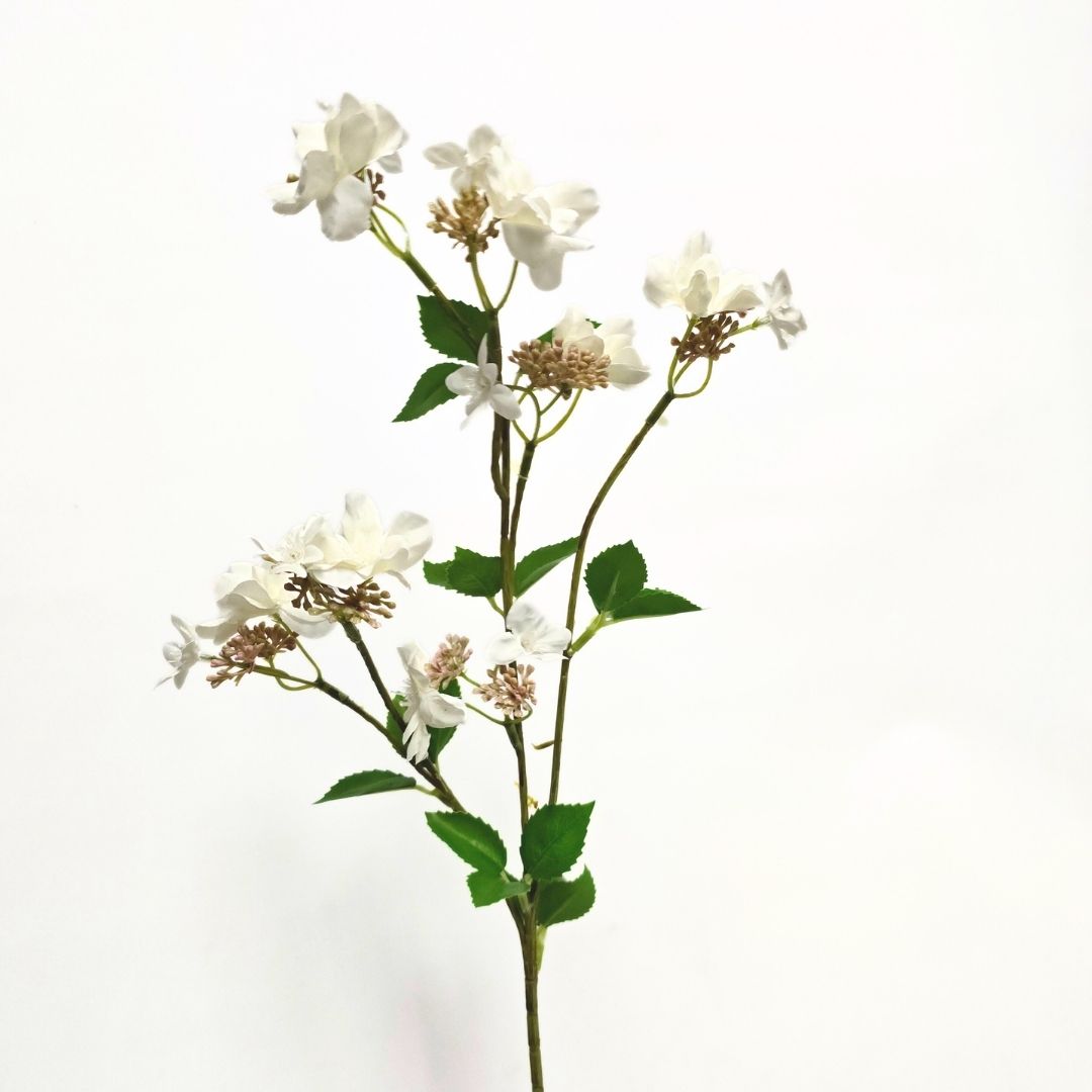 Early Bloom Blossom White 65cm - Desflora