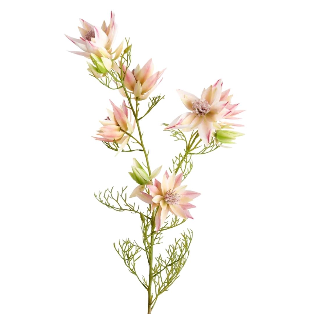 Artificial Blushing Bride Cream Pink 68cm - Desflora