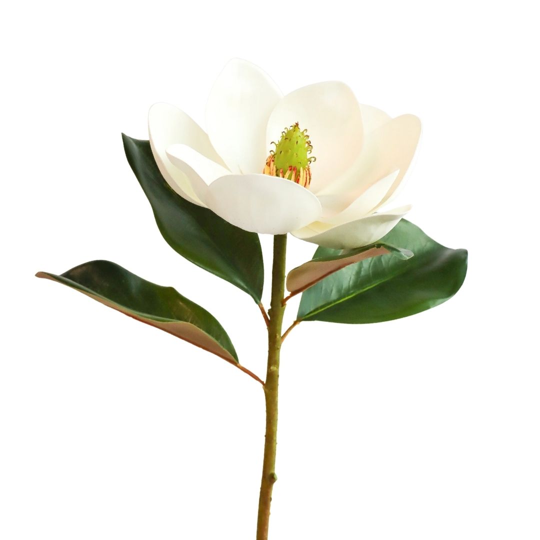 Artificial Magnolia Stem White 59cm - Desflora