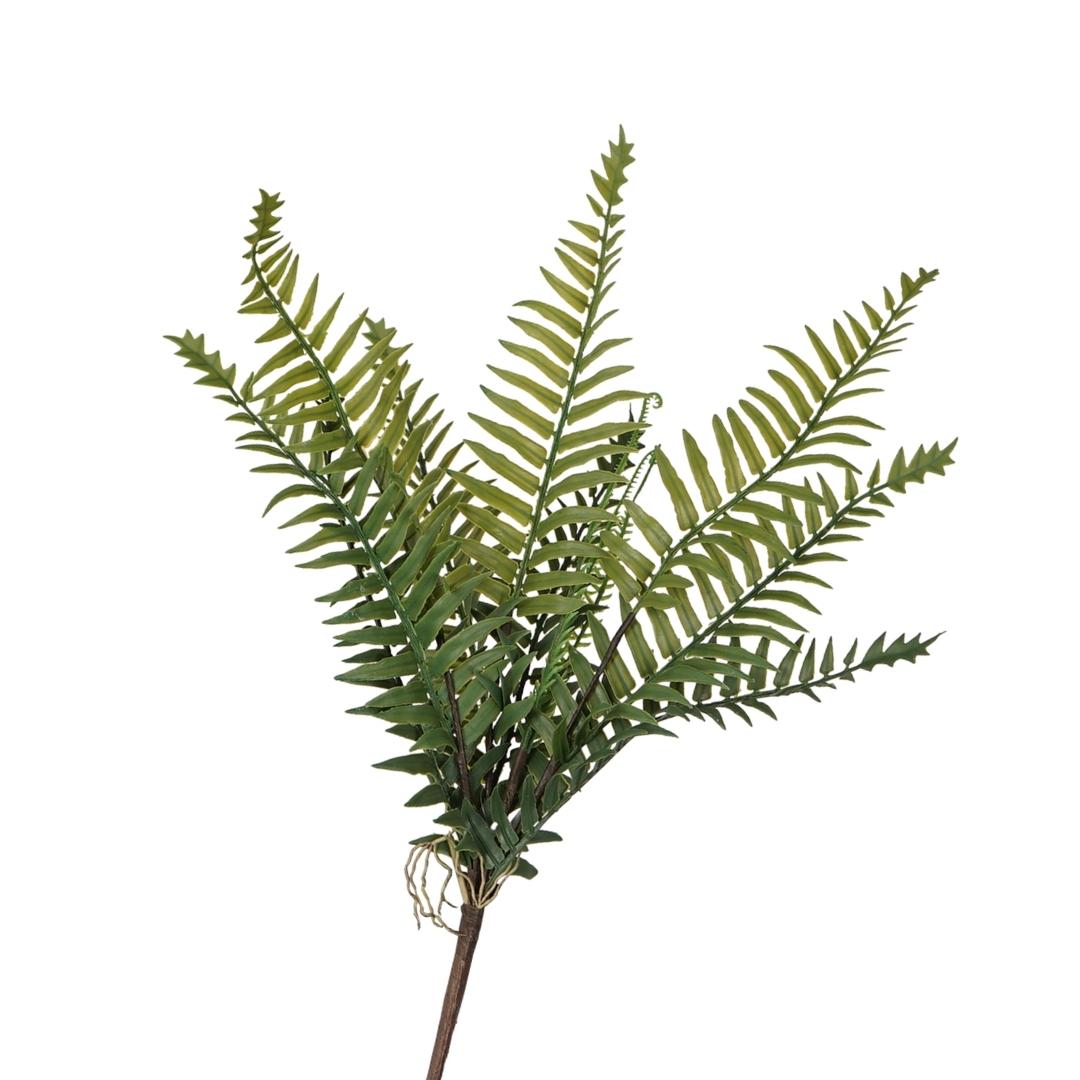 Fishbone Fern Bush Green 48cm - Desflora