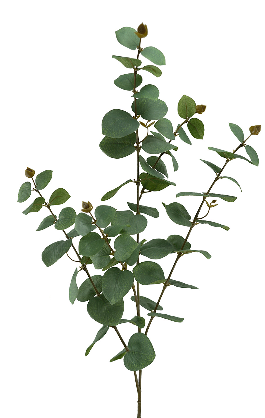 Eucalyptus Gum Spray 110cm - Desflora